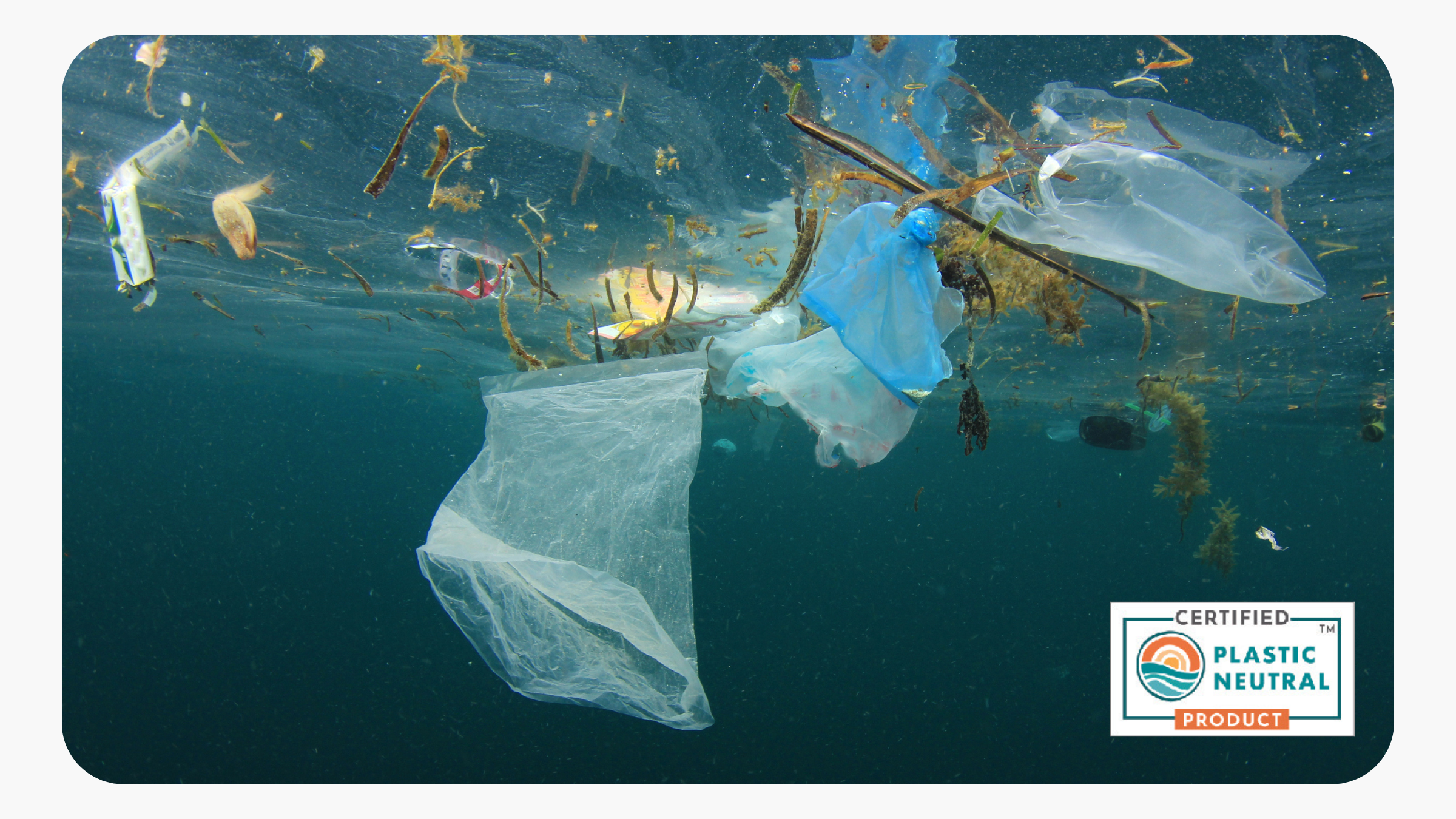 Great Eastern Sun is a Certified Plastic Neutral Company