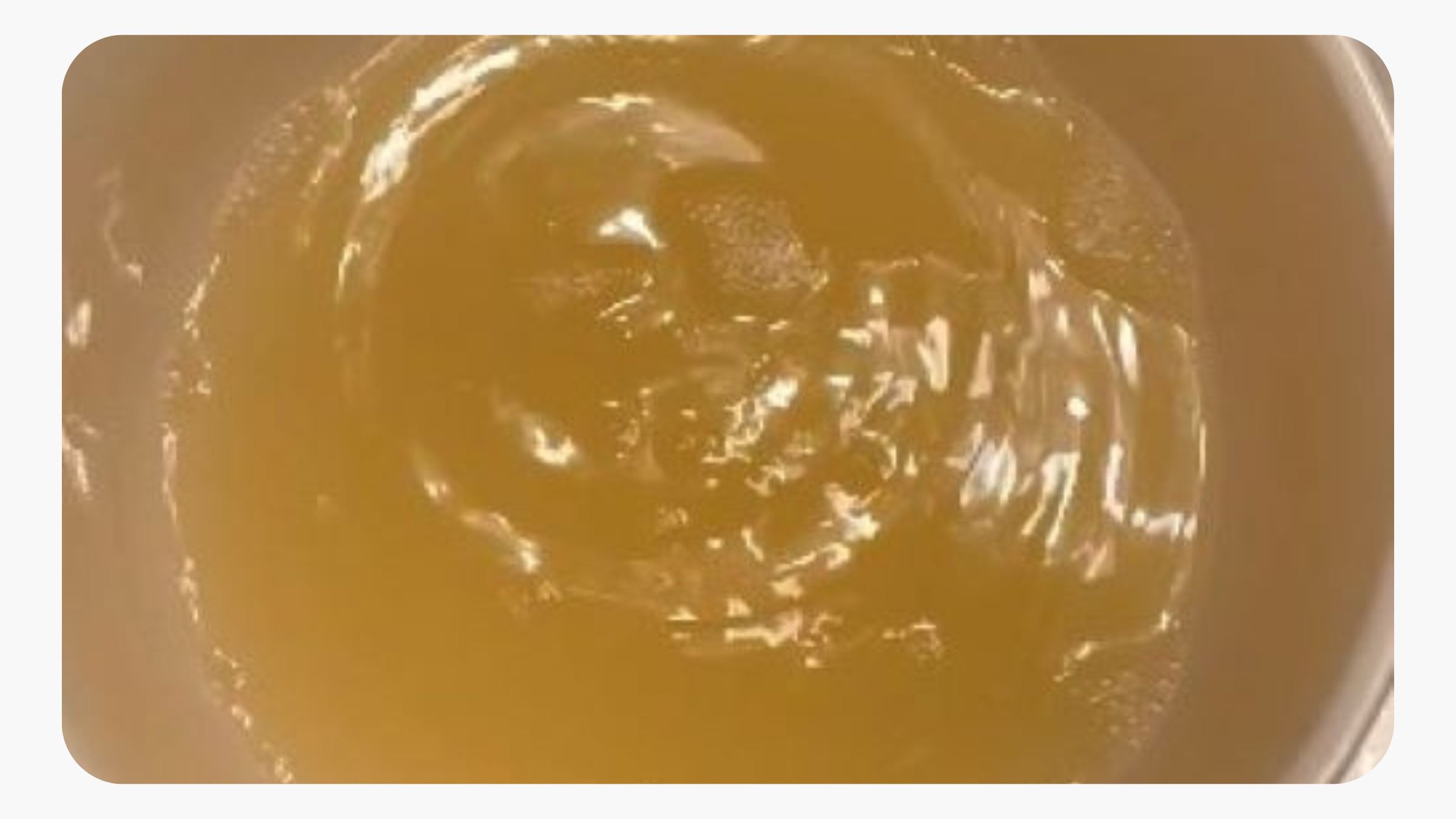 15 Minute, 2 Ingredients Vegan Tempeh Broth – Great Eastern Sun