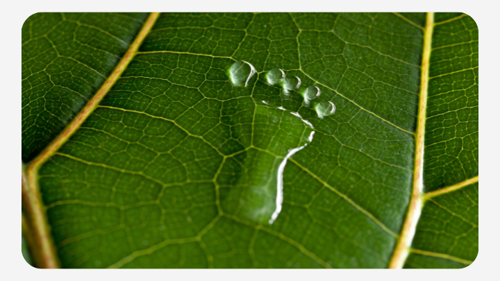 Our Climate Commitment – Great Eastern Sun